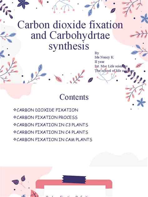 Co2 Fixation Pdf
