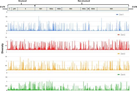 Dengue Virus Genome Protein Structures With Corresponding Proteome