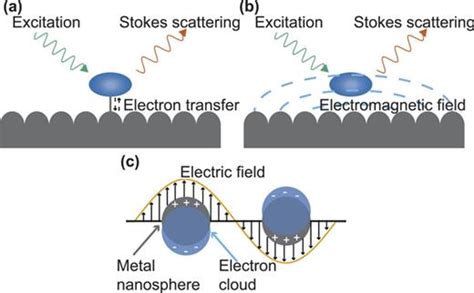 Optical Methods For Bacterial Detection And Characterization Apl