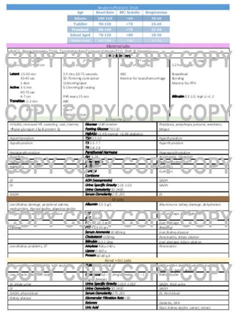 Rn Labs Cheat Sheet Etsy