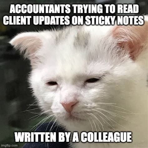 50 Funny Accounting Memes That Will Make Your Day