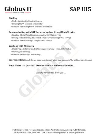 Sap Ui Training In Hyderabad PDF