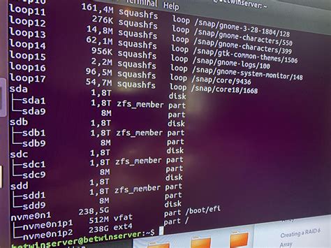 My Raid5 Disappeared How Do Go About Mounting It Again Rlinux4noobs