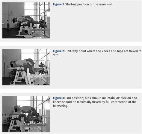 Razor Curls Exercise Why Use Them Loris Bertolacci