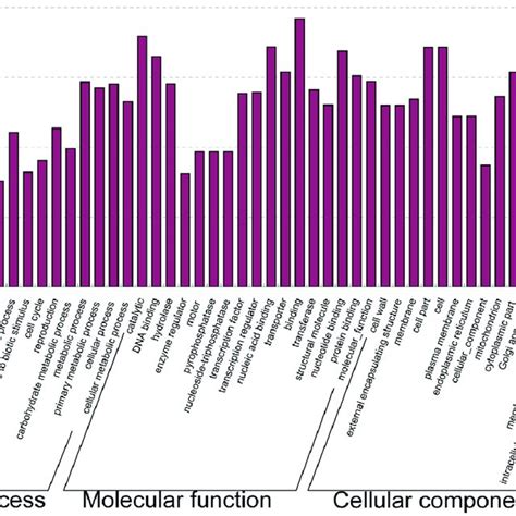 Histogram Presentation Of Gene Ontology Go Classification The
