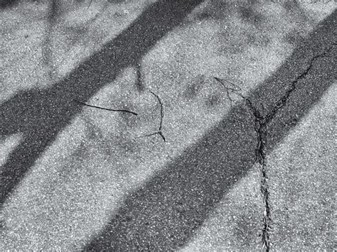 Branching Structures Landscapes And Other Abstractions