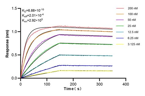 Tim3 Antibody 98115 1 Rr Proteintech