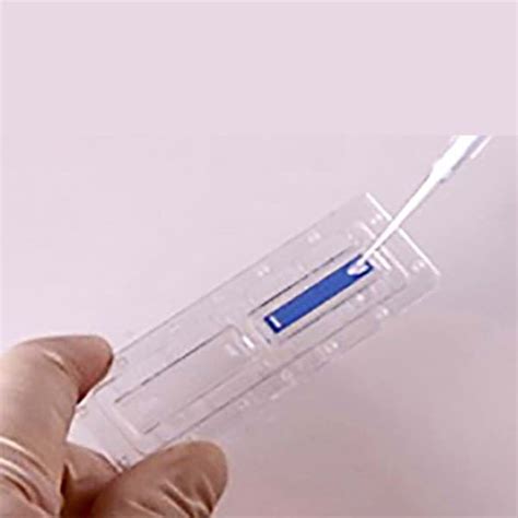 Disposable Photonslides 50 Slides For 100 Counts In One Box Westburg Life Sciences