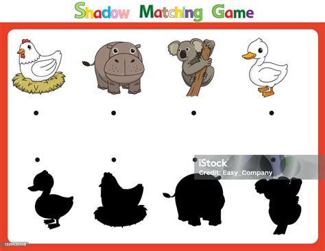 다른 모양의 그림자를 학습하기위한 벡터 그림입니다 어린이 마녀 4 만화 이미지 암탉 하마 코알라 오리 퍼즐에 대한 스톡 벡터 아트 및 기타 이미지 Istock