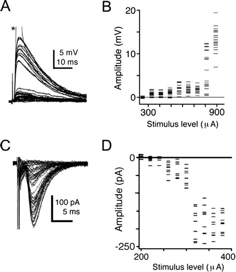 Na Neurons Received Excitatory Postsynaptic Potentials Epsps And Download Scientific Diagram