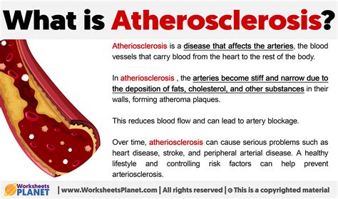 What Is Atherosclerosis Definition Of Atherosclerosis