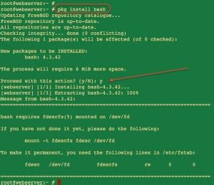 Freebsd Install Bash Shell Using Pkg Command Nixcraft