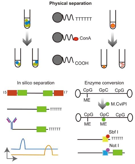 science china life sciences 综述 单细胞及空间组学 biopic网站中文版