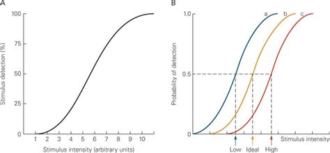 sensory coding neupsy key
