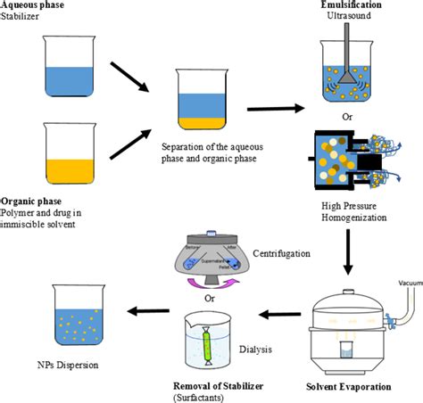 Effects Of Freezing And Freeze Drying On Protein Conjugated Nanoparticles Semantic Scholar