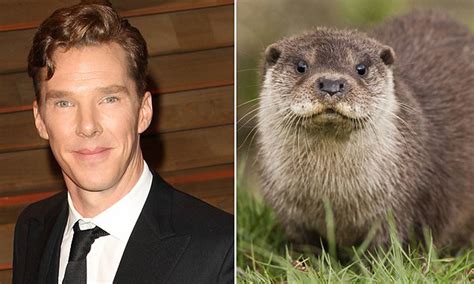 Otters That Look Like Benedict Cumberbatch