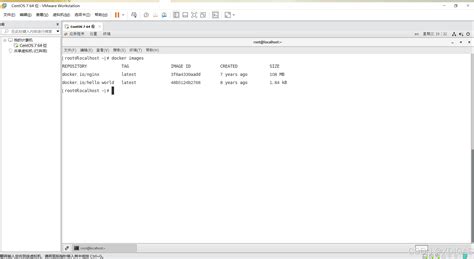 Docker 基础命令 以 Nginx 实战总结docker Search Nginx Csdn博客