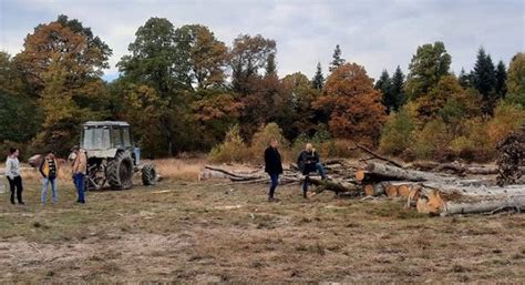 Перша громада на Франківщині запровадила громадський контроль роботи лісгоспів Збруч