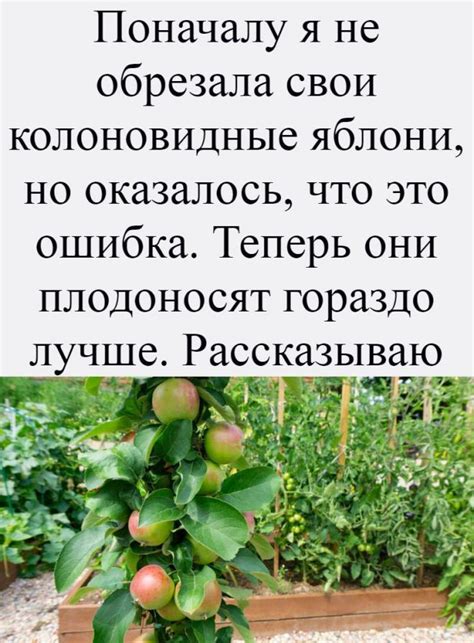 Вкусные Рецепты в 2025 г Сад с подстриженными деревьями Карликовые плодовые деревья Садоводство