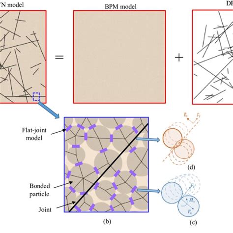 typical bpm dfn models with the various joint intensity a 2 m m 2