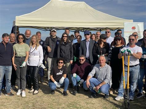 Tree Planting Initiative To Combat Desertification Cyprus Mail