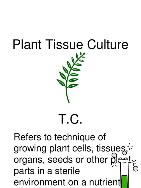 Presentation 3 History Of Ptc Pdf Transformation Genetics