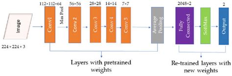 Figure 3 From Human Gender Classification Using Transfer Learning Via