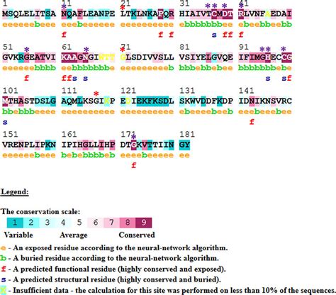 Sequence Conservation Analysis Consurf Analysis Was Performed For The