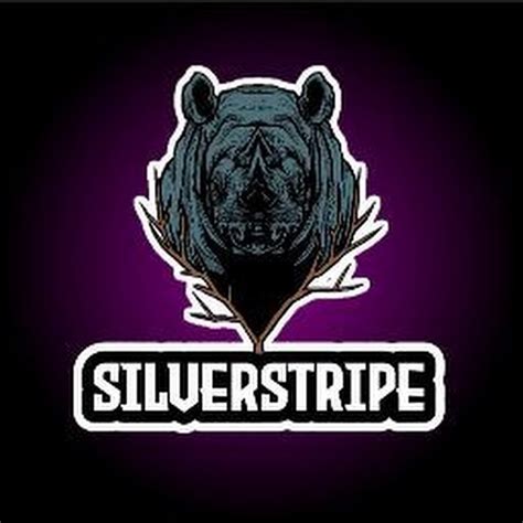 silverstripe youtube
