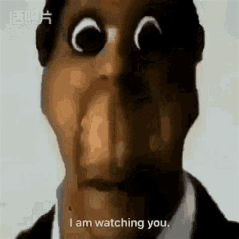Theobungasussy Obungis  Theobungasussy Obunga Obungis Discover
