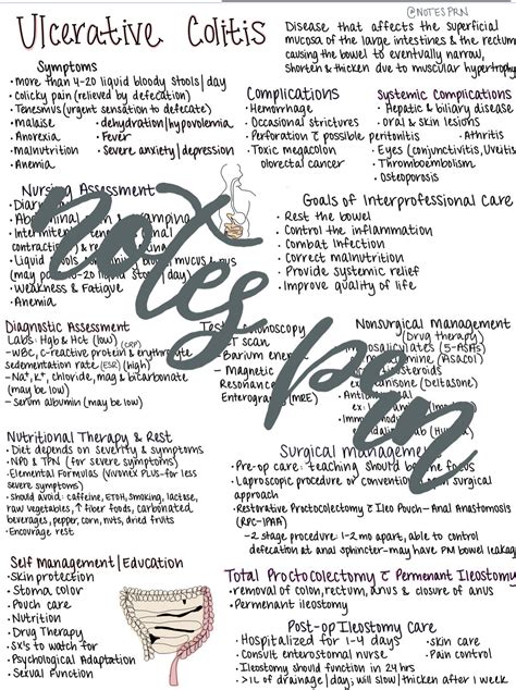 Nursing Notes Ulcerative Colitis Etsy