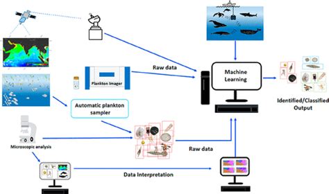Applications Of Machine Learning In Chemical And Biological Oceanography Acs Omega