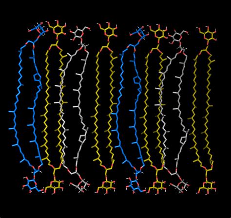 Genconf Straightening Out Lipids User Discussions Gromacs Forums