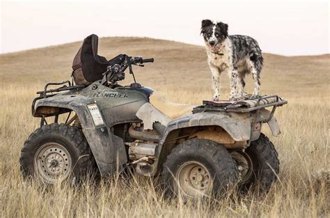small vehicle options for hunting patrolling your property or bugging out