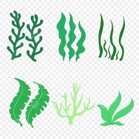 해초 일러스트 해초 클립 아트 세계 해양의 날 대양 Png 일러스트 및 Psd 이미지 무료 다운로드 Pngtree