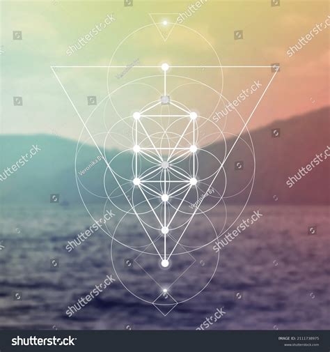 Flower Life Tree Life Interlocking Circles Stock Vector Royalty Free 2111738975 Shutterstock