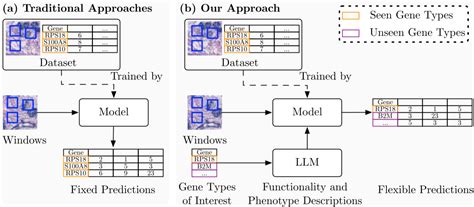 논문 리뷰 Spatial Transcriptomics Analysis Of Zero Shot Gene Expression Prediction
