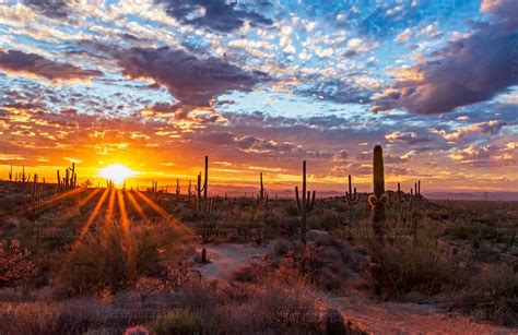 Desert Sunset Images