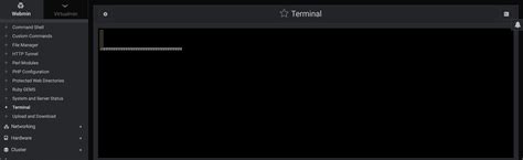 Cannot Terminal Rdebian