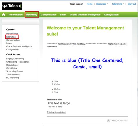 Getting Started With Oracle Bi Publisher In Taleo Enterprise Recruiting
