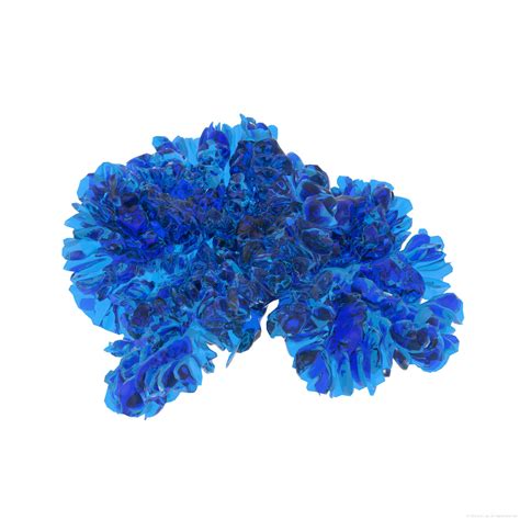Differential Growth Research Yufan