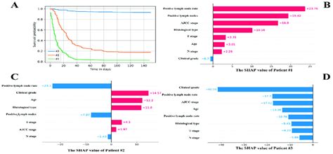 The Individual Postoperative Prognostic Prediction A The Estimated Download Scientific