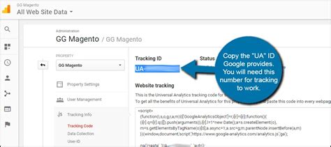 How To Add Google Analytics To Magento GreenGeeks
