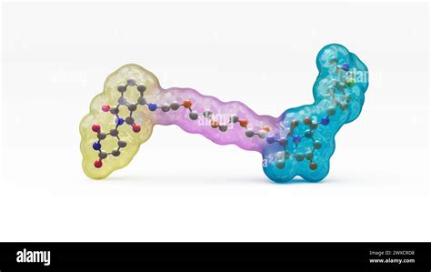 Illustration Of The Structure Of A Targeted Protein Degrader Molecule