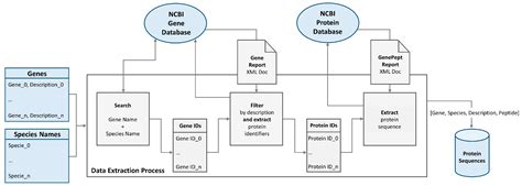 Comparative Bioinformatic Analysis Of The Proteomes Of Rabbit And Human Sex Chromosomes