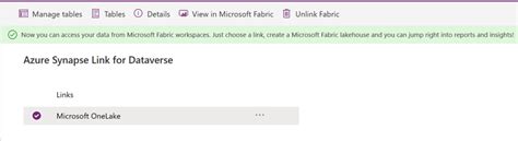 Creating The Dataverse Connector In Fabric Platform Guardian