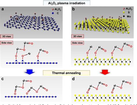 Figure 1 From Controlled Defect Creation And Removal In Graphene And