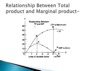 Production Function Ppt PPT
