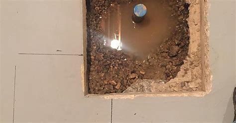 Drain Album On Imgur