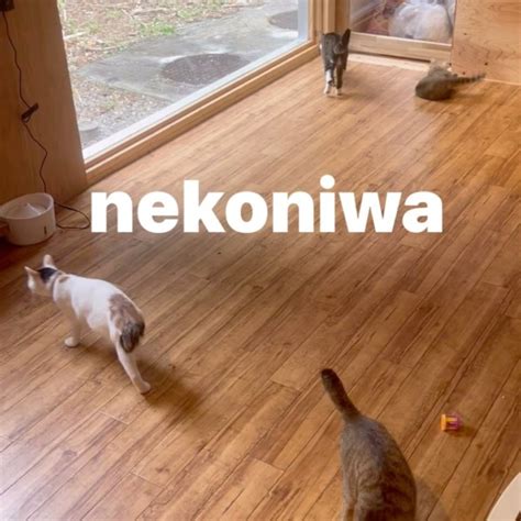 株式会社コンプリート・サークル 【公式】猫庭ホームページ｜nekoniwa